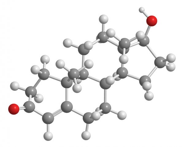 Testosterone: The Ultimate Guide for Men - AskTheTrainer.com