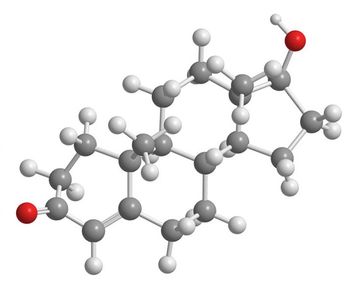 Testosterone: The Ultimate Guide for Men - AskTheTrainer.com